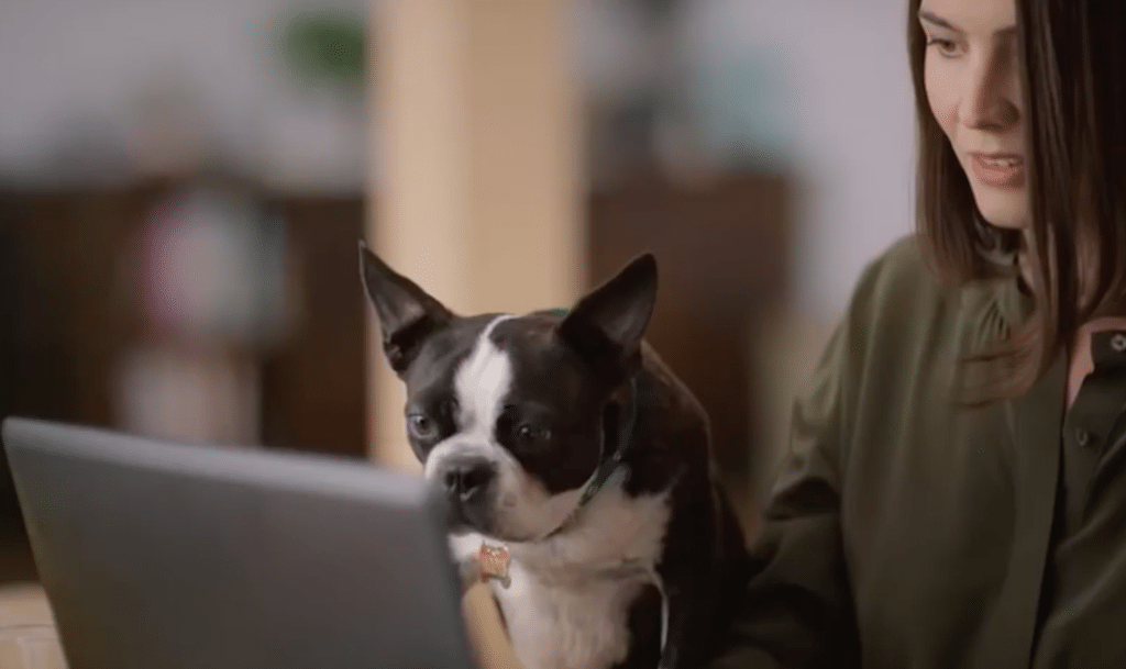 Can a TripAdvisor TV Campaign Be a Game-Changer? Two Views