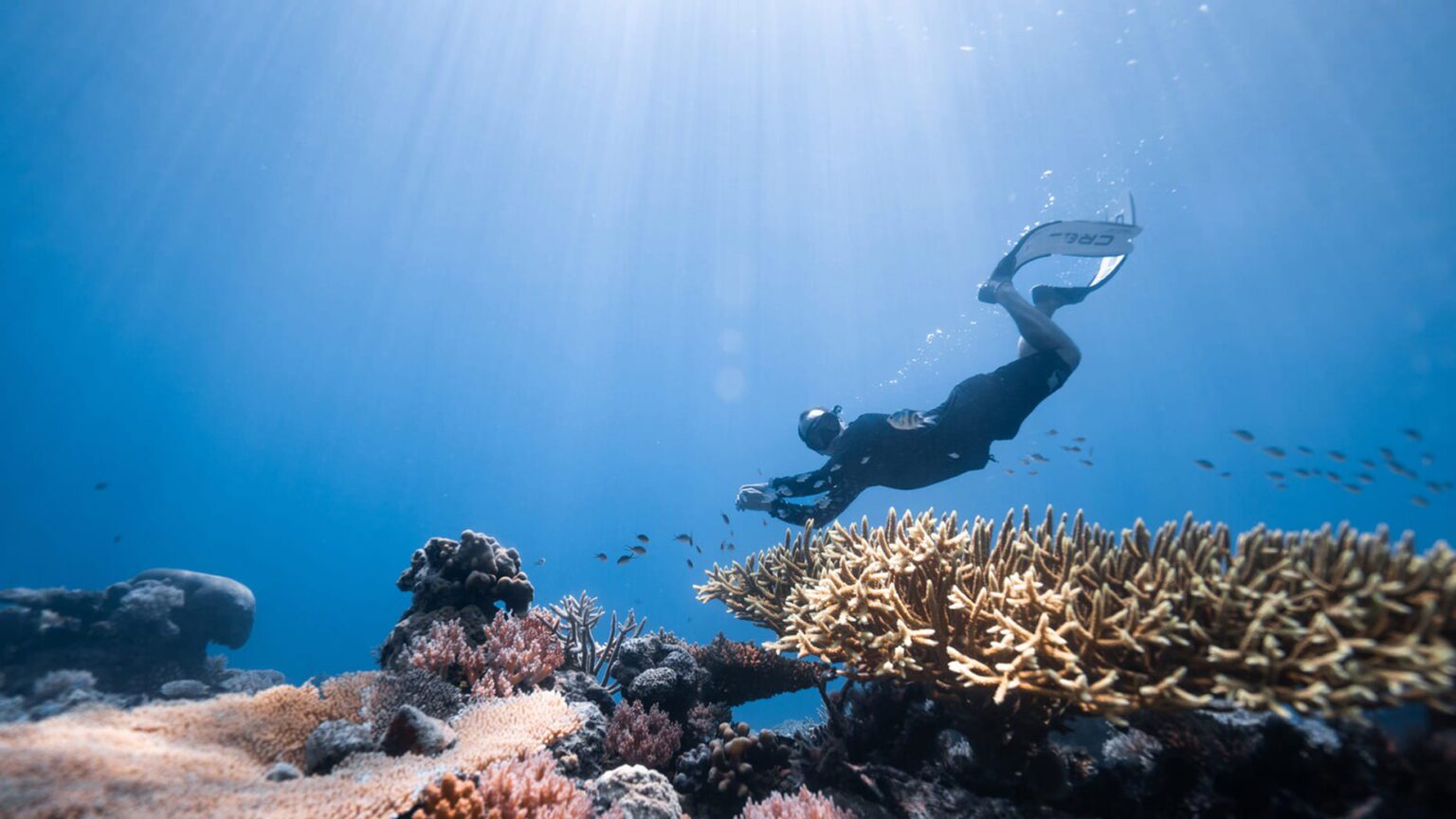 Four Seasons’ Palau Project: Conservation in a Remote Locale