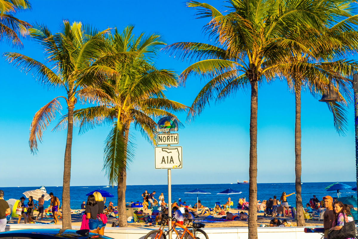 Conflict and Live Tourism Are Redrawing the American Travel Map